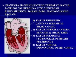 SISTEM__KADIOVASULAR_ANATOMI.ppt kedokteran | PPT