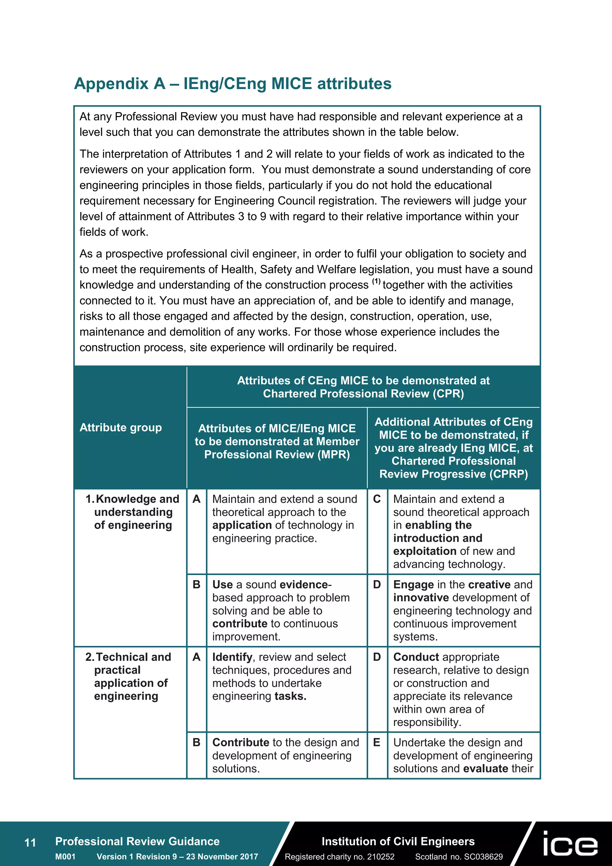 Ice professional review-guidance.pdf