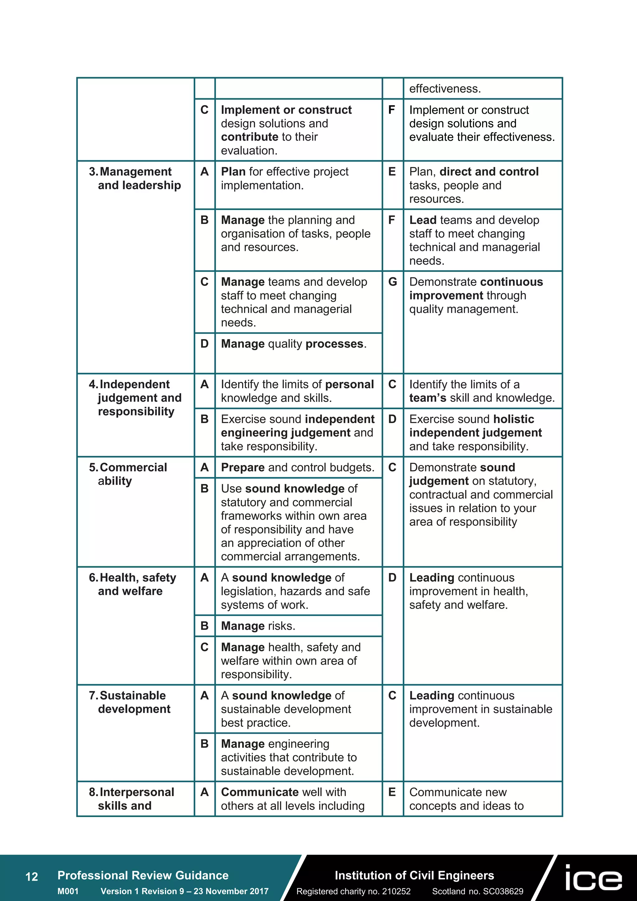 Ice professional review-guidance.pdf
