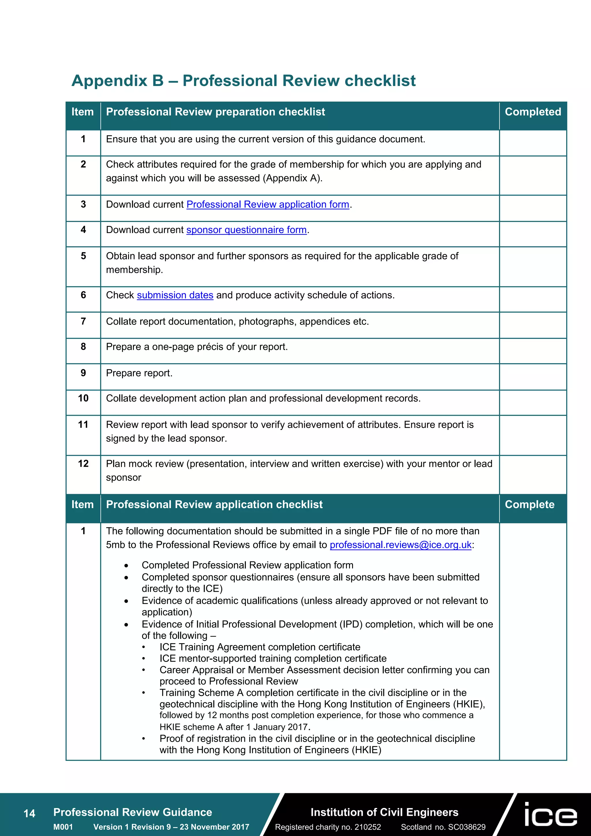 Ice professional review-guidance.pdf