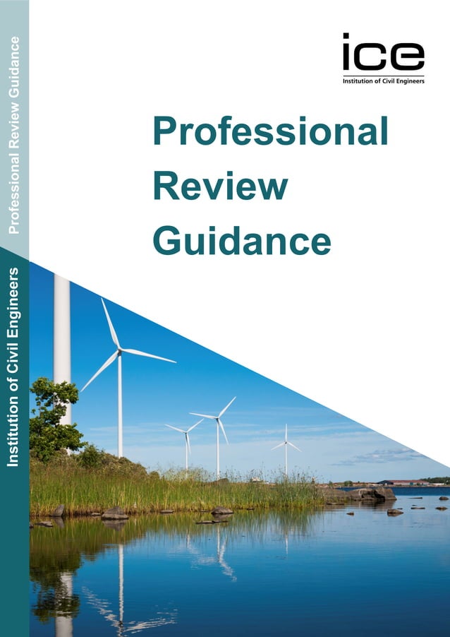 Ice professional review-guidance.pdf | Resume Writing and Advice | Job ...