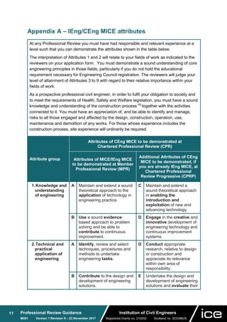 Ice professional review-guidance.pdf