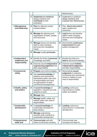 Ice professional review-guidance.pdf