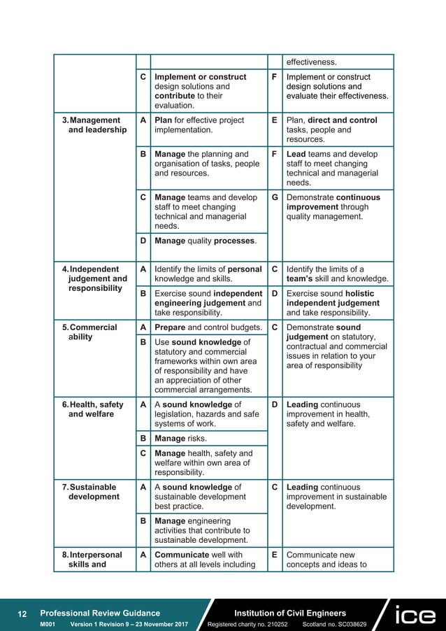 Ice professional review-guidance.pdf | Resume Writing and Advice | Job ...