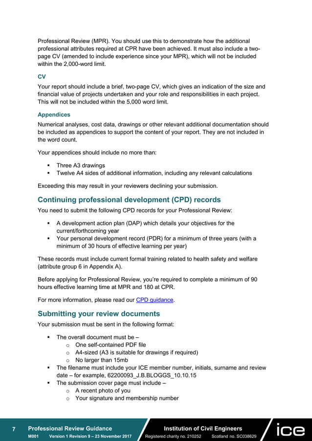 Ice professional review-guidance.pdf | Resume Writing and Advice | Job ...