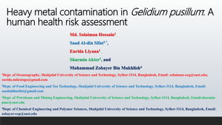 Heavy Metal Contamination in Gelidium Pusillum: A Human Health Risk ...
