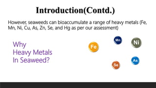 Heavy Metal Contamination in Gelidium Pusillum: A Human Health Risk ...