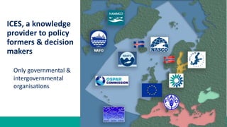 Four questions about ICES advice | PPT