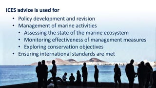 Four questions about ICES advice | PPT