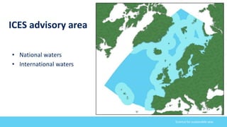 Four questions about ICES advice | PPT