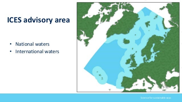 Four questions about ICES advice