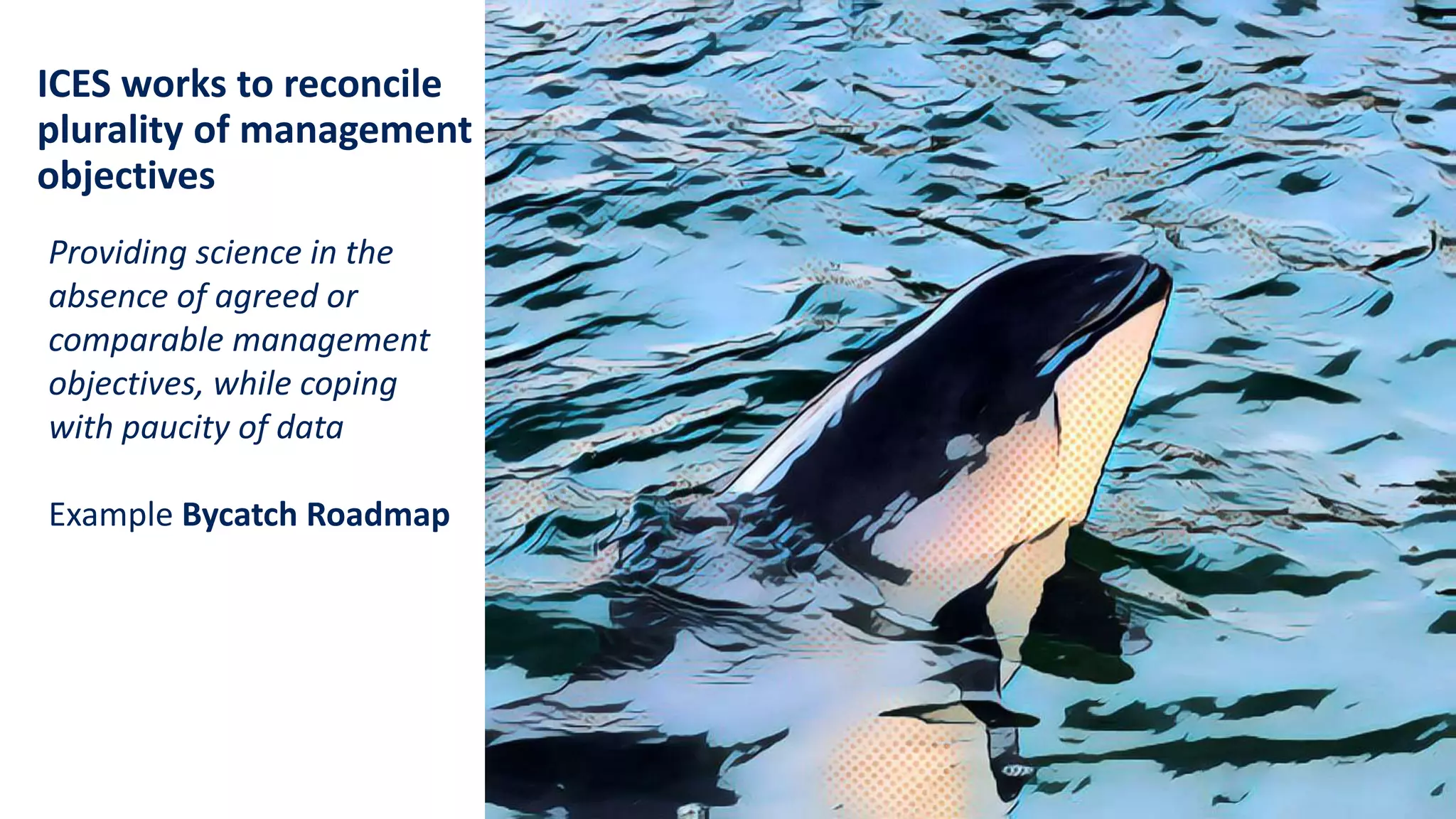 ICES advice - incorporating ecosystem based considerations | PPT