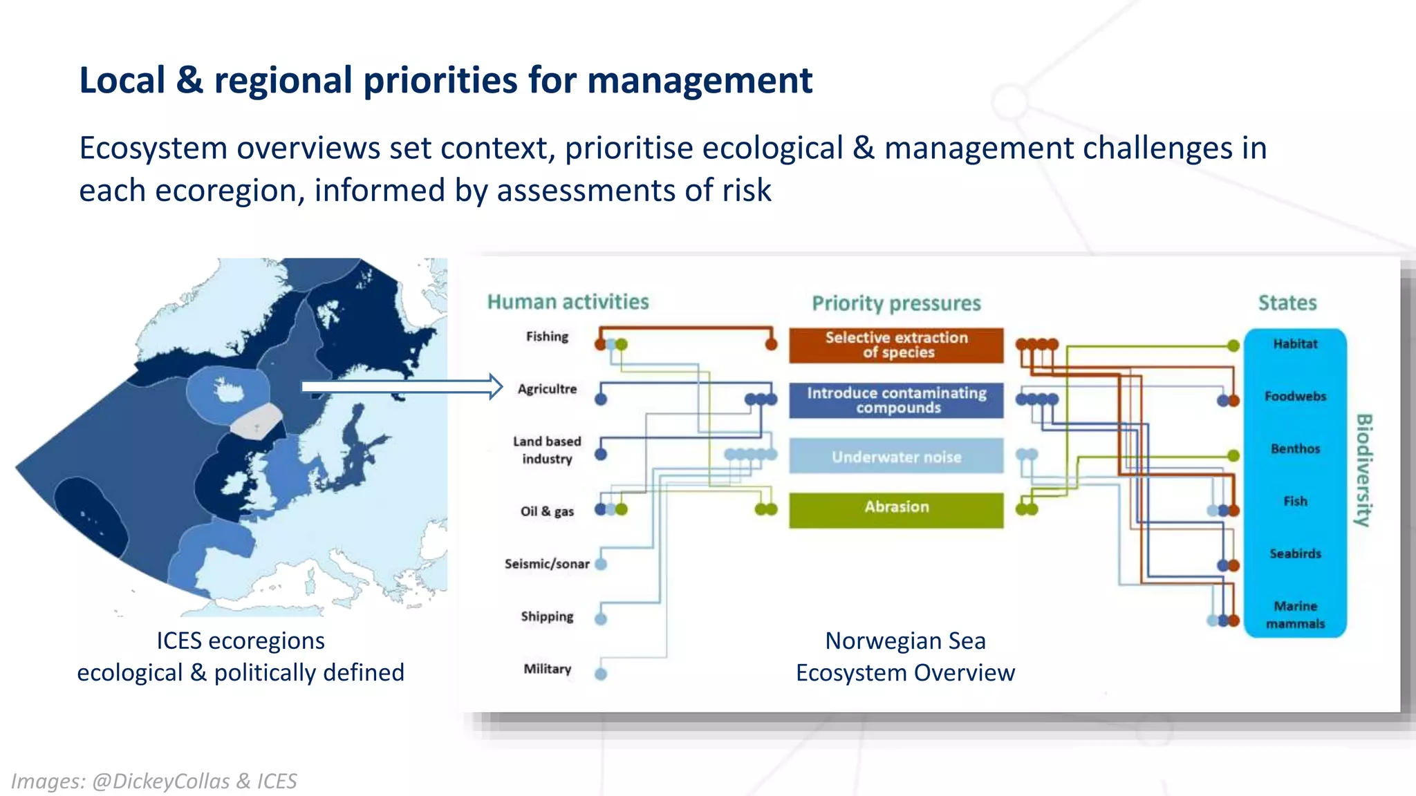 ICES advice - incorporating ecosystem based considerations | PPT