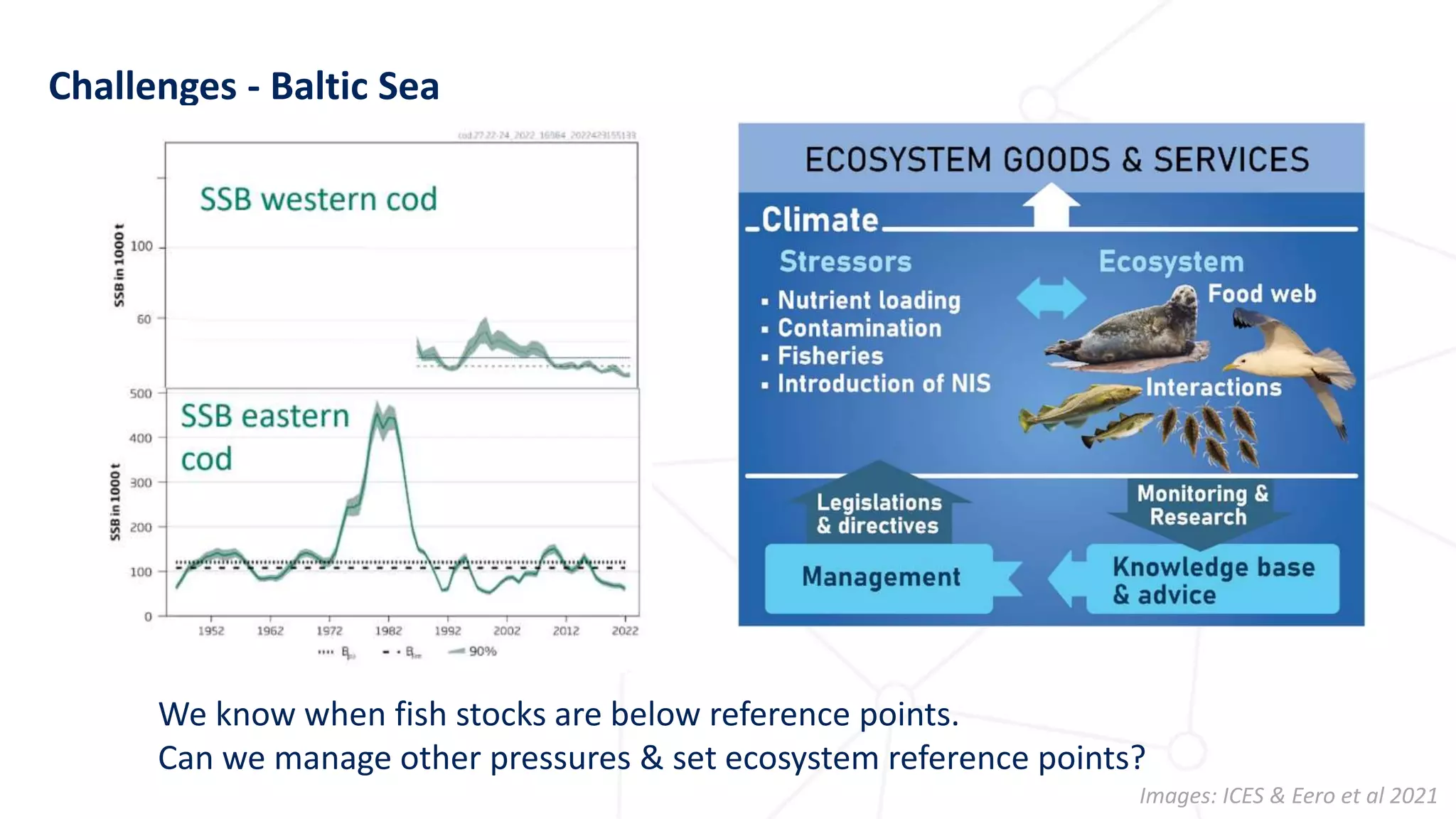 ICES advice - incorporating ecosystem based considerations | PPT