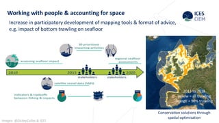 ICES advice - incorporating ecosystem based considerations | PPT