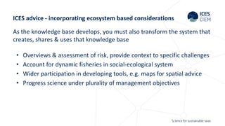 ICES advice - incorporating ecosystem based considerations | PPT
