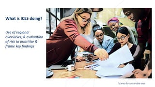 ICES advice - incorporating ecosystem based considerations | PPT