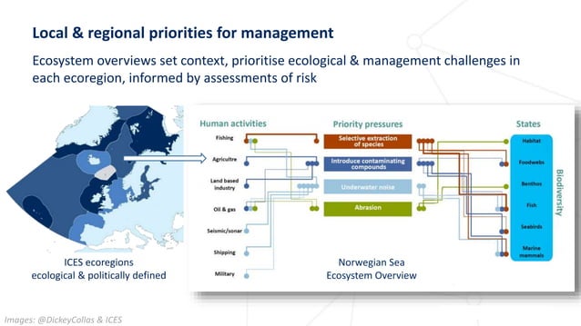 ICES advice - incorporating ecosystem based considerations | PPT