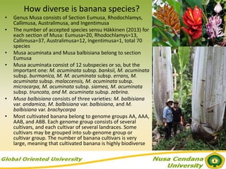 Biodiverse, yet remains prone to biosecurity incursion: The case of ...