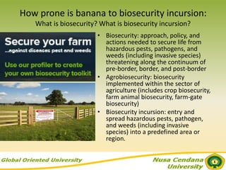 Biodiverse, yet remains prone to biosecurity incursion: The case of ...
