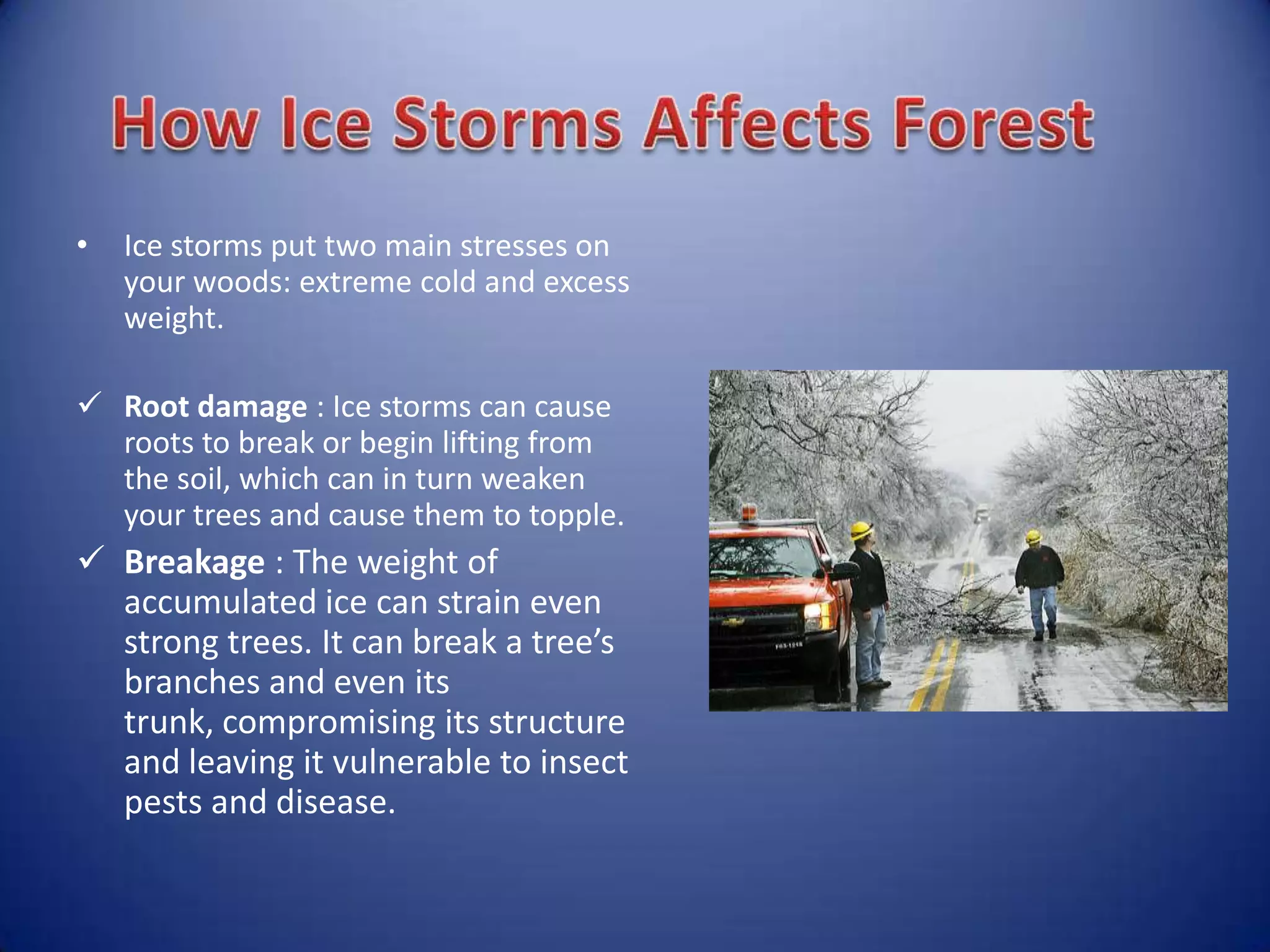 Ice Storms | PPTX
