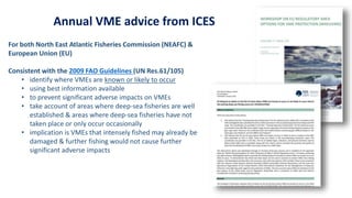 ICES VME & fisheries foot print | PPT