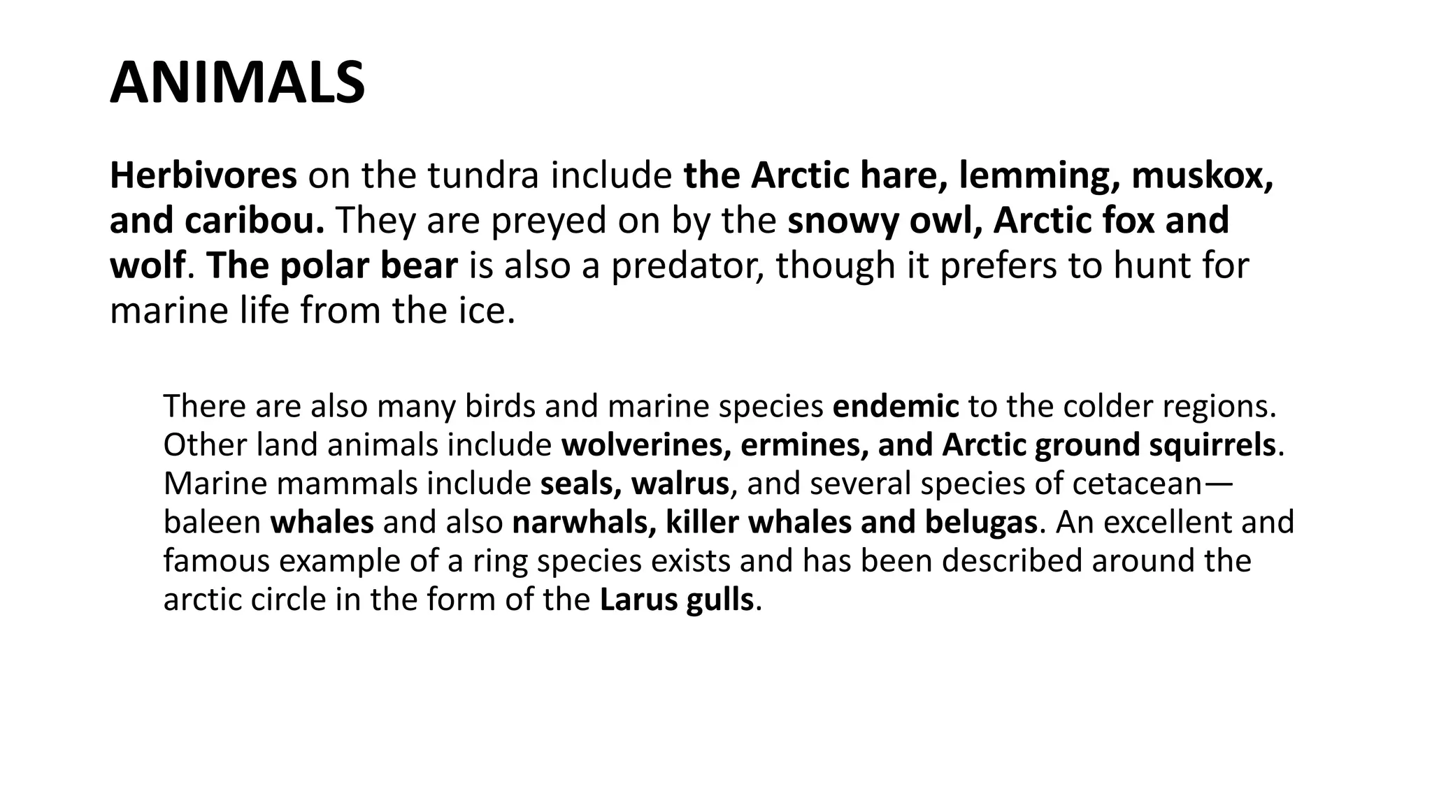GEOGRAPHY YEAR 9 - ICE WORLDS - THE ARCTIC | PPTX
