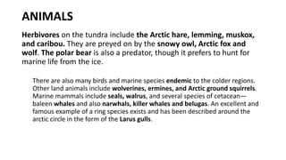 GEOGRAPHY YEAR 9 - ICE WORLDS - THE ARCTIC | PPTX