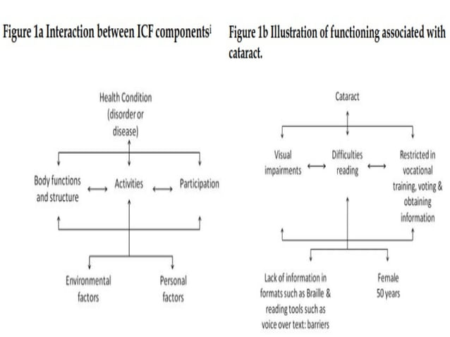 ICF | PDF | Medical Health