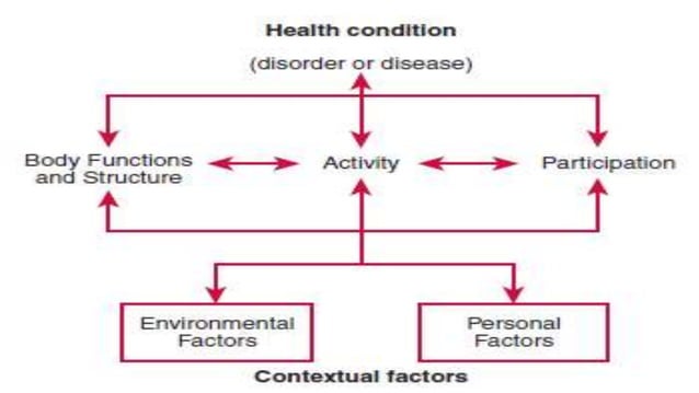 International Classification of Function, disability and health (ICF ...