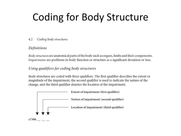 Icf coding guidlines | PPT