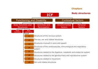 Icf f2018 basis | PPT