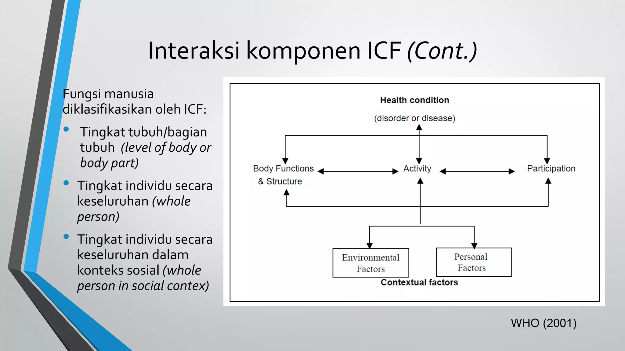 ICF FISIOTERAPI.pdf