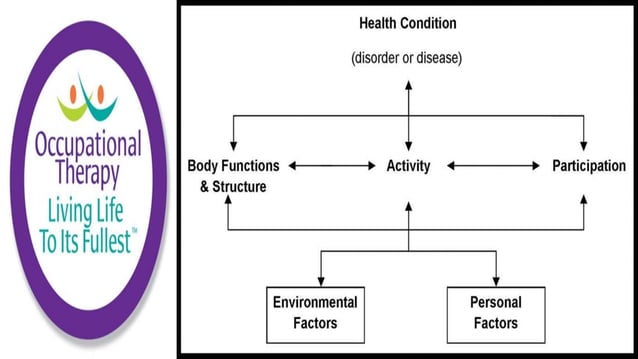 Neuro-Developmental Treatment Practice and the ICF Model | PPTX ...