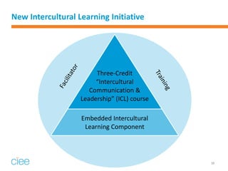 Intercultural Learning from the Inside Out: Supporting Faculty, Staff ...
