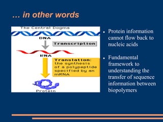 Central Dogma | PPT
