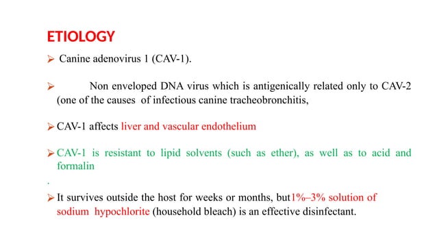 Infectious Canine Hepatitis disease in dogs | PPT