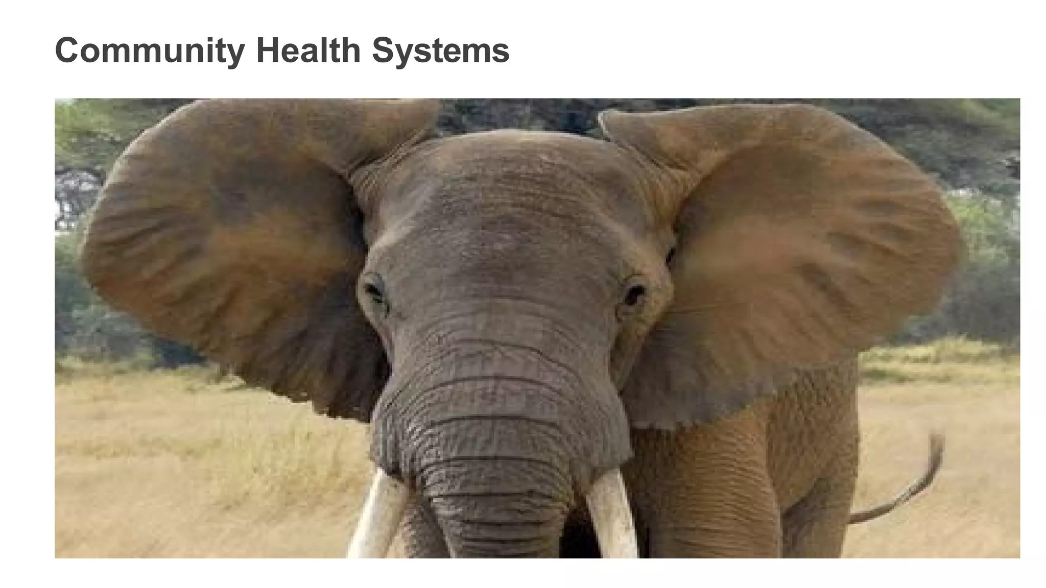 Next Steps from ICHC -- Ichc | PPT