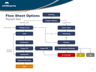 Tailoring process selection to uranium minerology and oil type | PDF