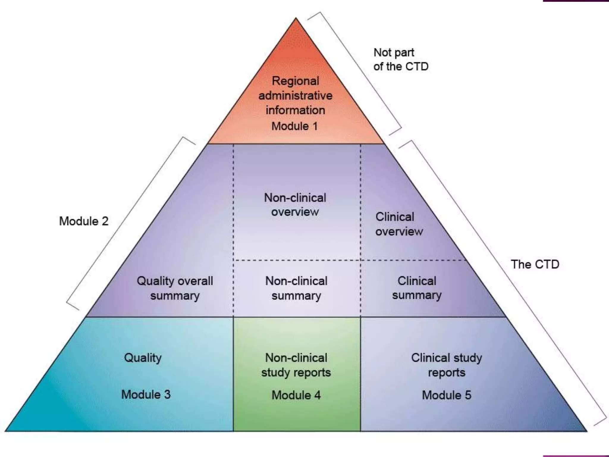 ICH GUIDELINES MULTIDISCIPLINARY | PPTX