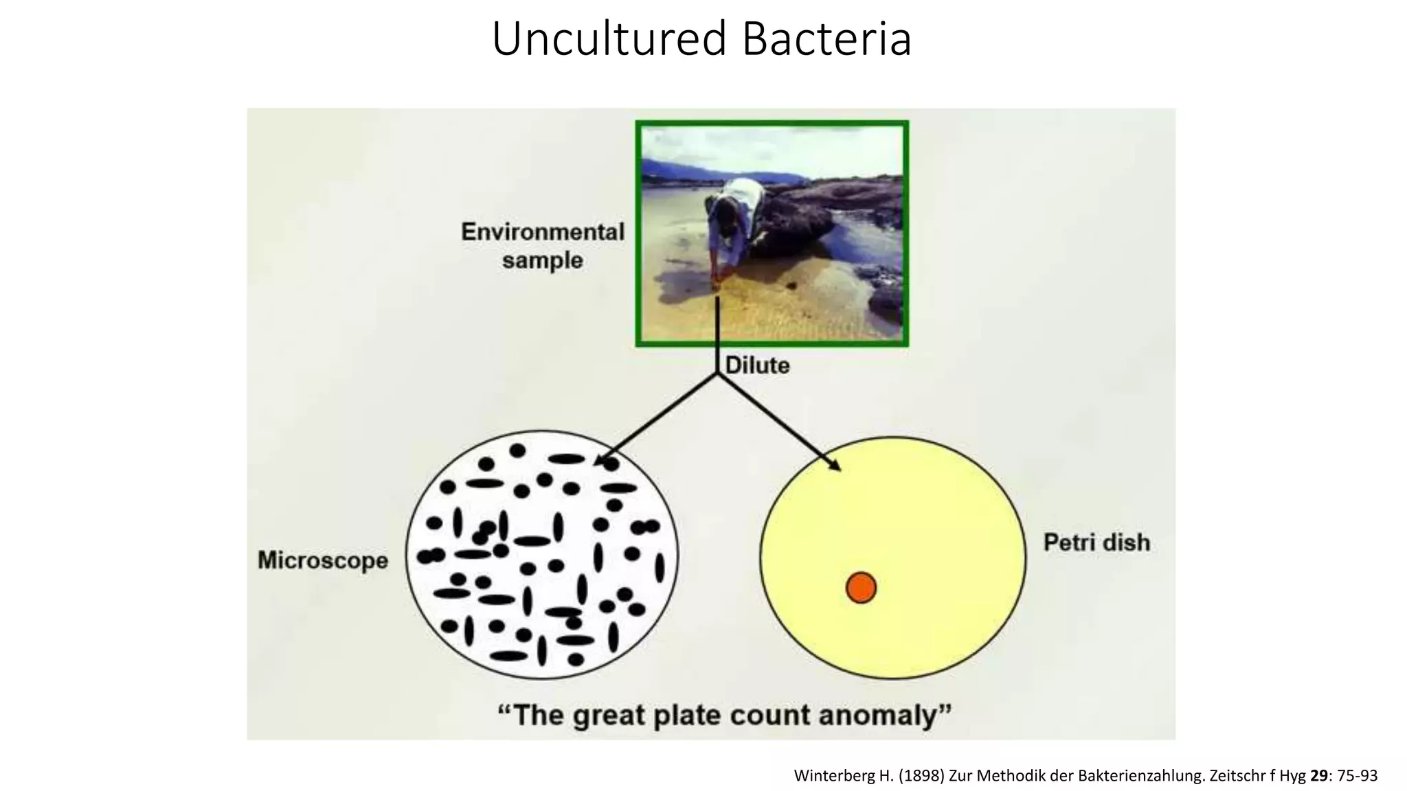 Ichip and teixobactin | PPTX