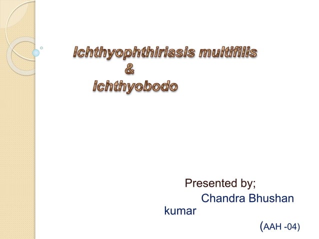 The freshwater ciliate Ichthyophthirius multifiliis life cycle was ...