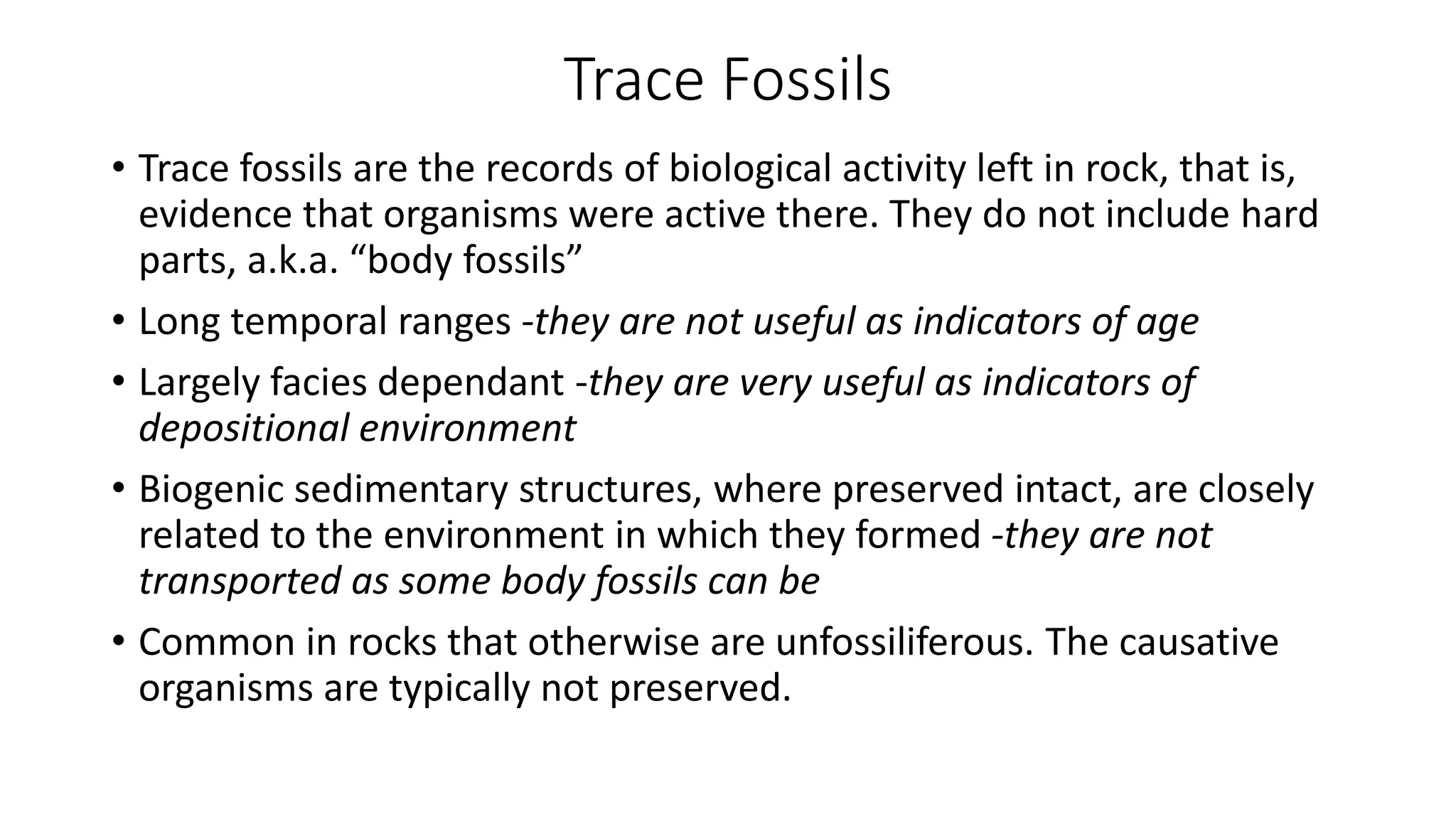 Ichnofossils | PDF