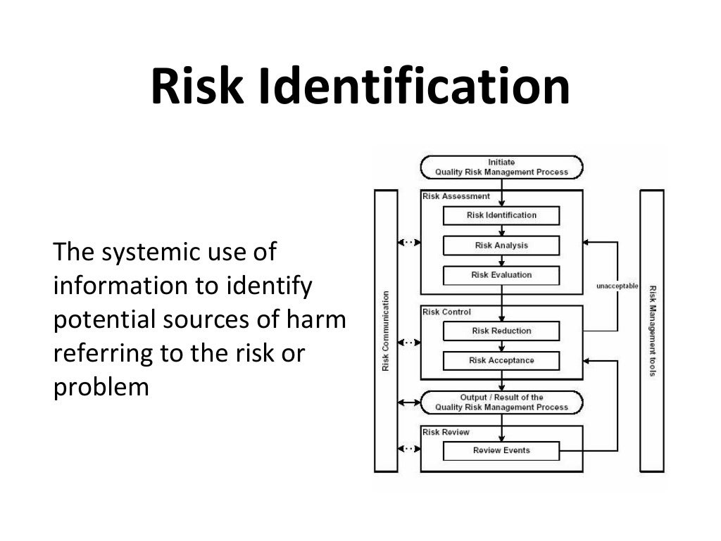 ICH Guideline Q9 - Quality Risk Management