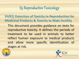 ICH Safety Guidelines | PPTX