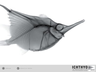 Ichthyo