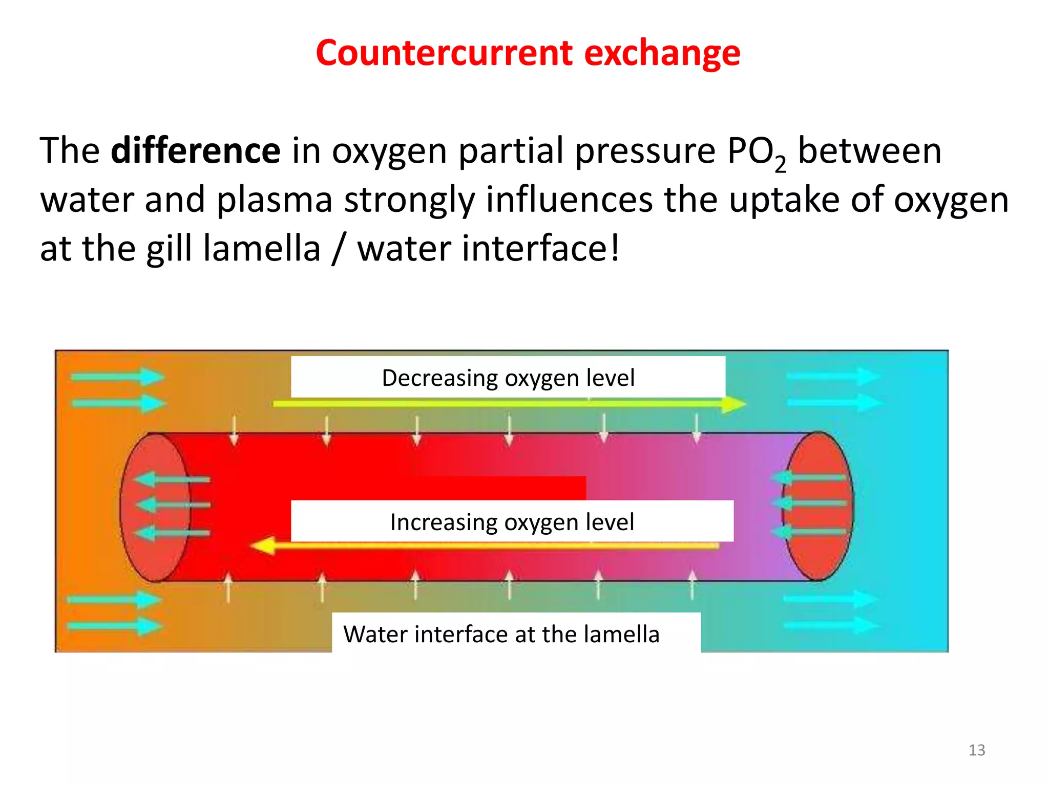 Ichthyology_II_2012_Physiology_Lectures_Part_1.pptx