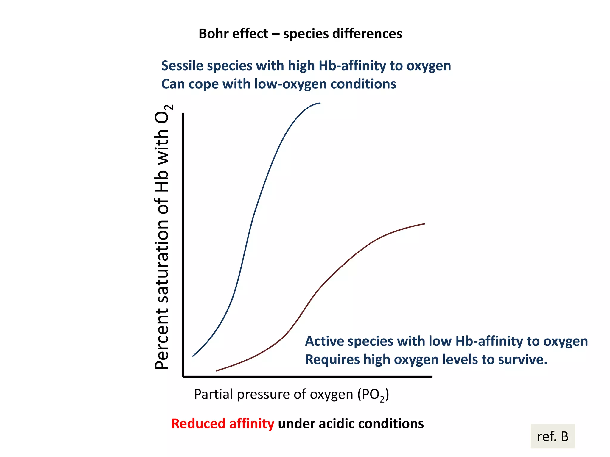 Ichthyology_II_2012_Physiology_Lectures_Part_1.pptx | Lung and Respiratory Health | Diseases and ...