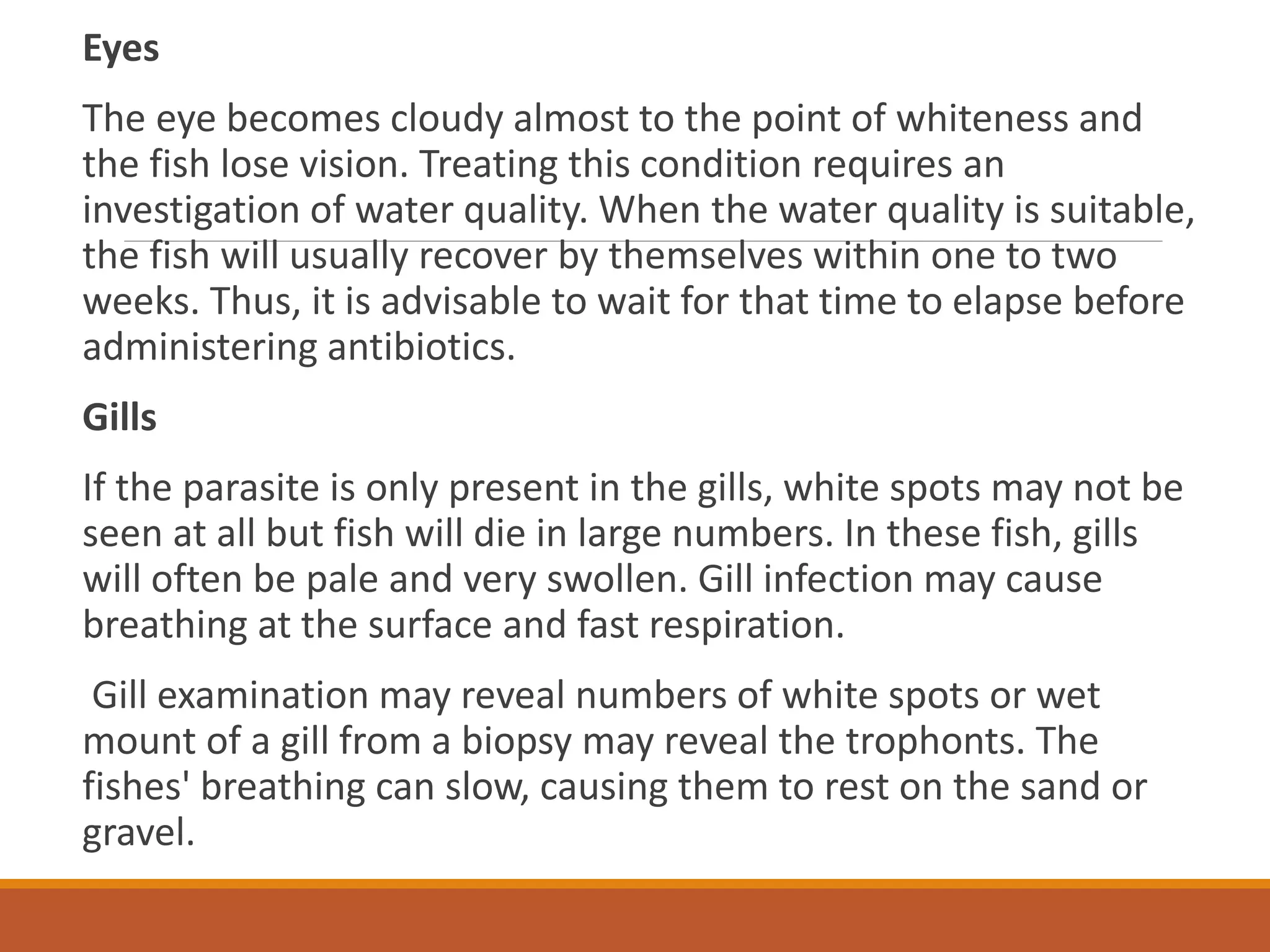 Ichthyophthiriasis | PPTX