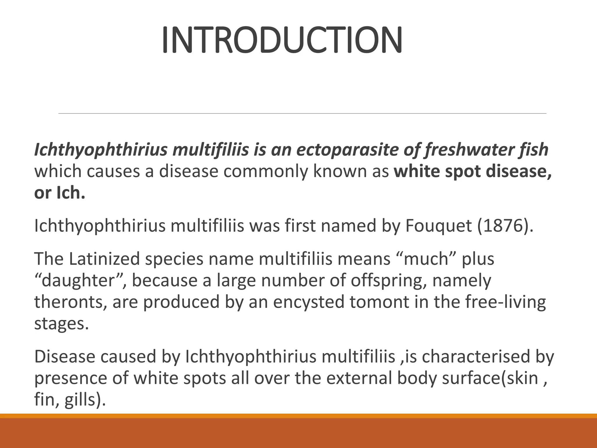 Ichthyophthiriasis | PPTX